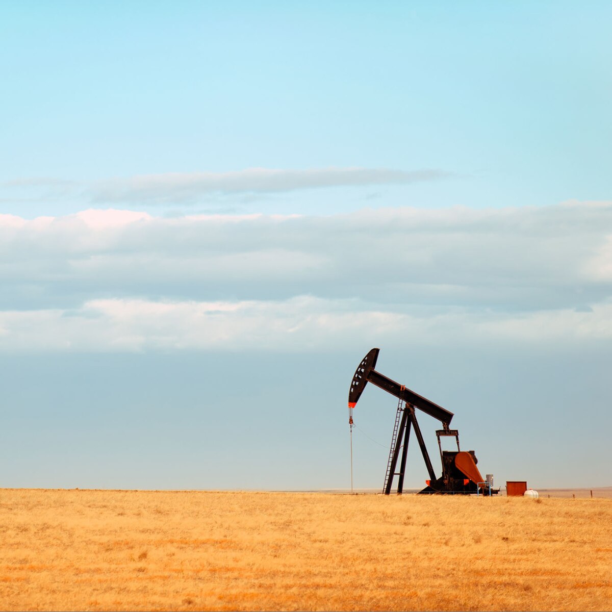 TDXM-DC Temperature Scanner/Pyrometer | FW Murphy