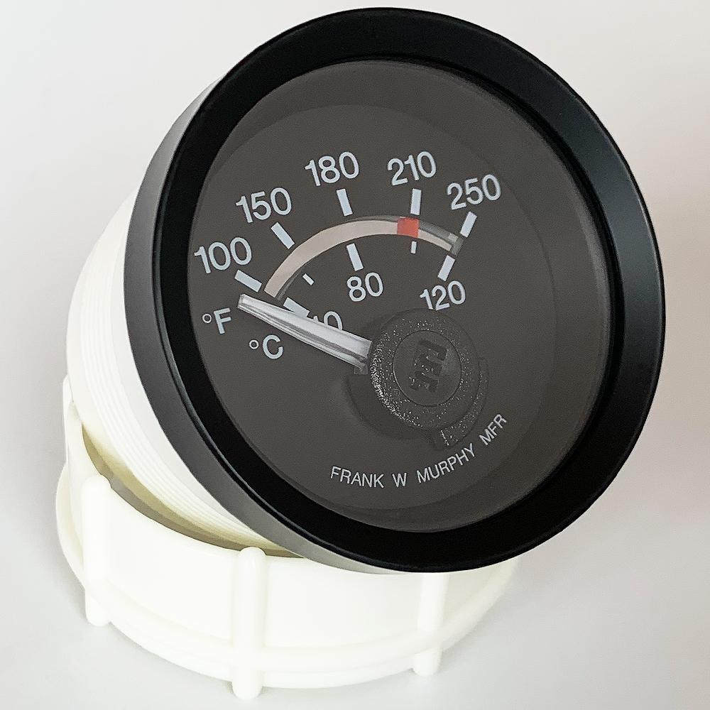 EGS21T-250-24-A (10701295): Electric Temperature Swichgage®